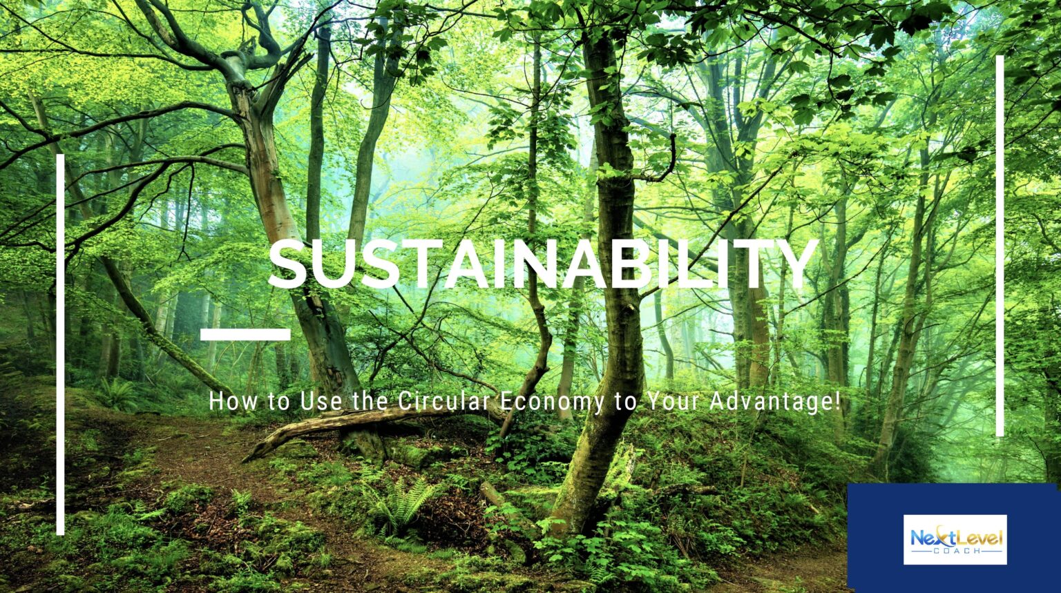 Sustainability/ Circularity - Business Coach & Consultant